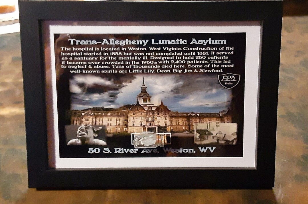 TRANS ALLEGHENY Lunatic Asylum Paint Chips Sample Relic Limited Edition ...