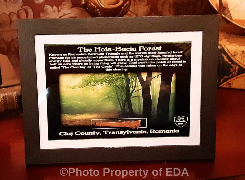 HOIA BACIU Haunted Forest Relic Branch Sample Gravel Soil Earth Sample ...