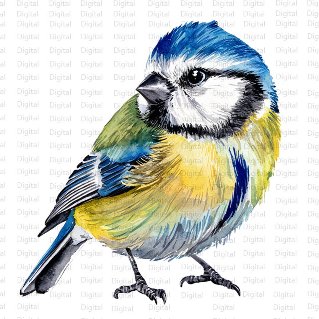8 Blue Bird Watercolor PNG, Cute Bird Clipart, Printable Watercolor PNG ...