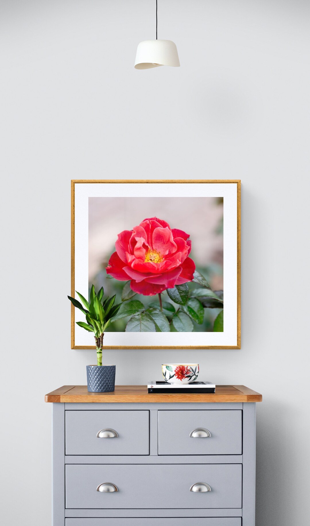 Hungarian Rose Photo, Square Flower Photo, Square Floral Print, Red ...