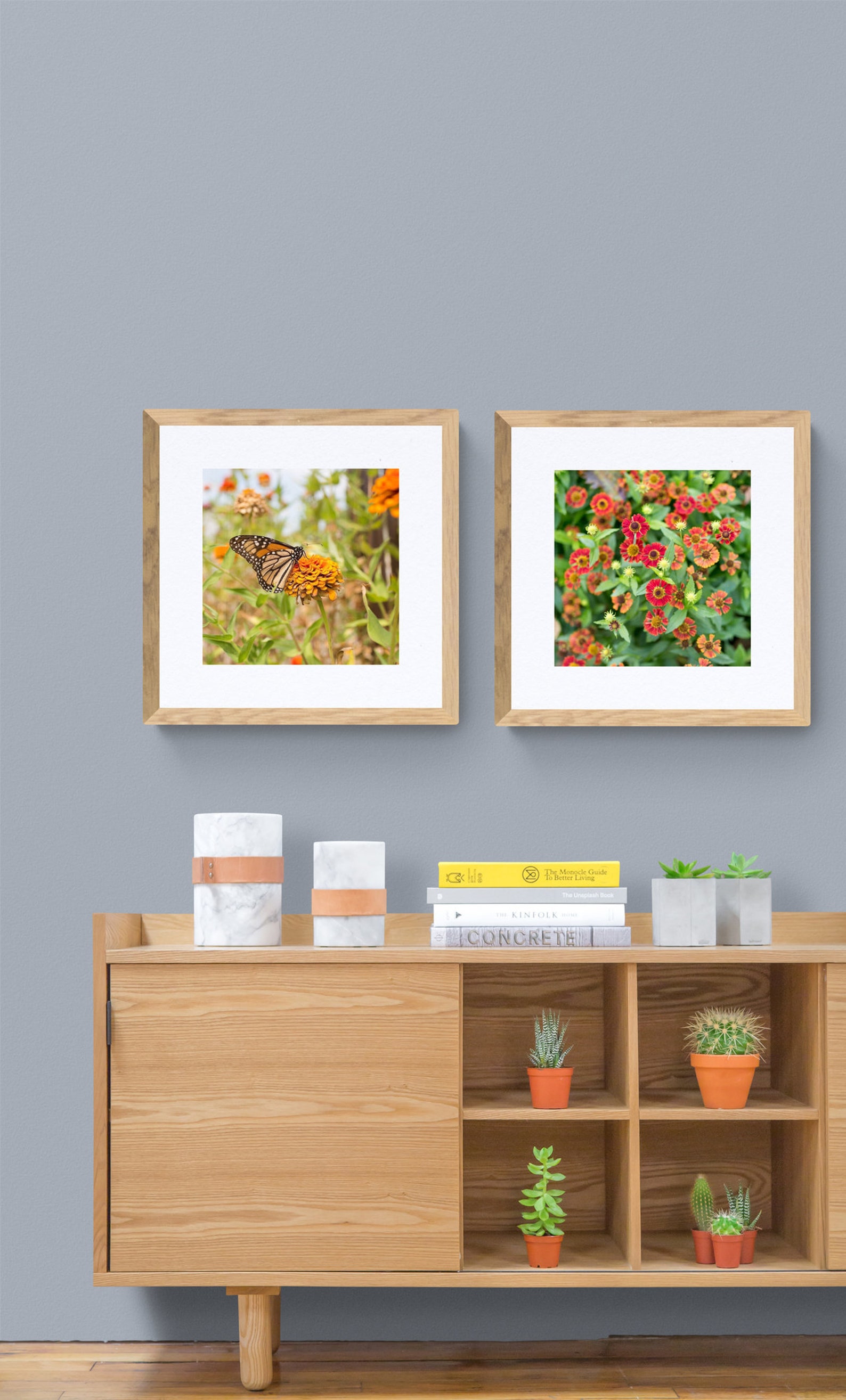 Monarch Butterfly Print Ruth's Roots Photo Orange - Etsy