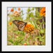 Monarch Butterfly Print Ruth's Roots Photo Orange - Etsy