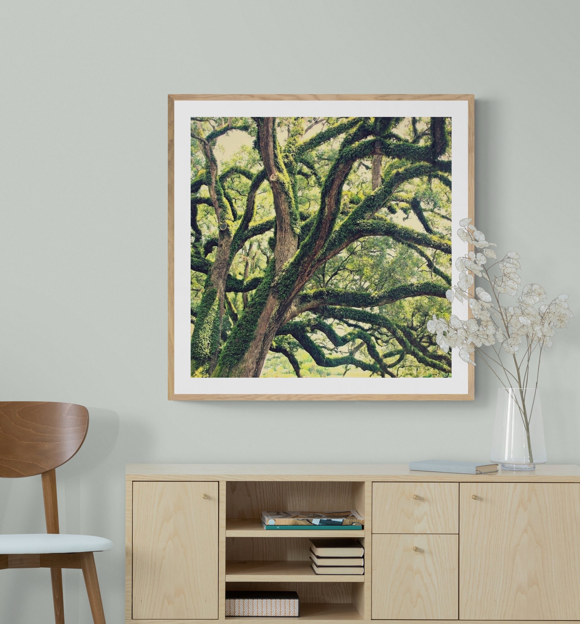 Live Oak Branches Tree Photograph Green Brown Decor Live - Etsy