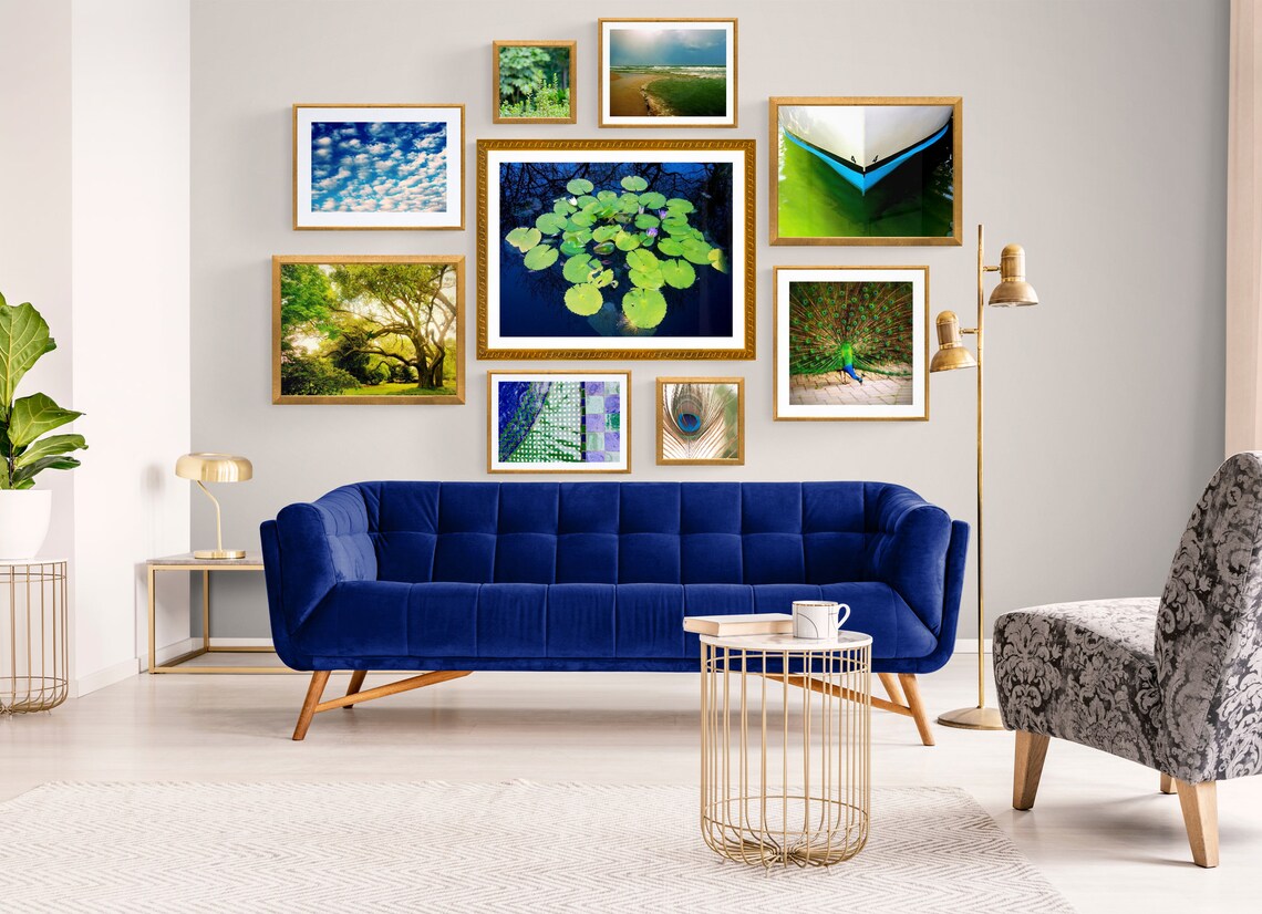 Peacock Feather Art Square Feather Print Feather Photo | Etsy