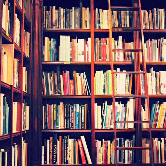 Library Ladder Photo, Bookshelves Photo, Gift for Bibliophile, Colorful ...