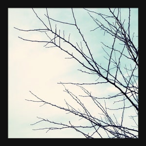 Bare Branches Photo, Pale Blue Nature Art, Pale Blue Decor, Winter ...