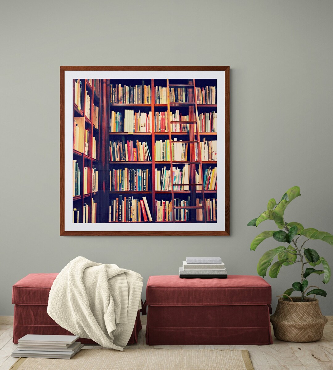 Library Ladder Photo, Bookshelves Photo, Gift for Bibliophile, Colorful ...