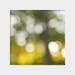 Square Bokeh Photo, Square Abstract Art, Dreamy Wall Art, Green Yellow ...