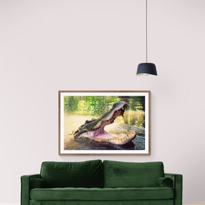Alligator Photo, Wildlife Photograph, Louisiana Bayou Art, Honey Island ...