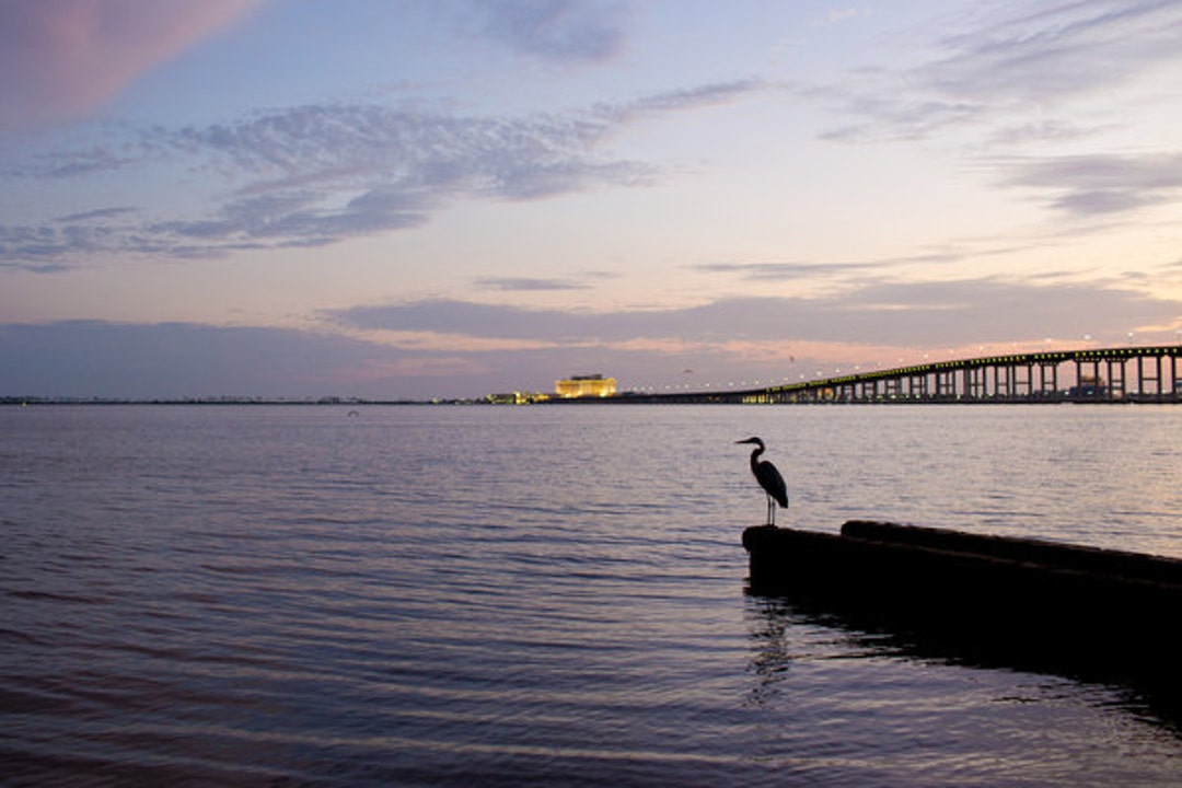Ocean Springs Photo Front Beach Photo Heron Photograph - Etsy