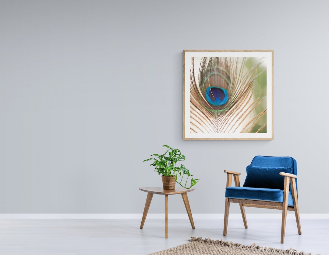 Peacock Feather Art, Square Feather Print, Feather Photo, Square ...