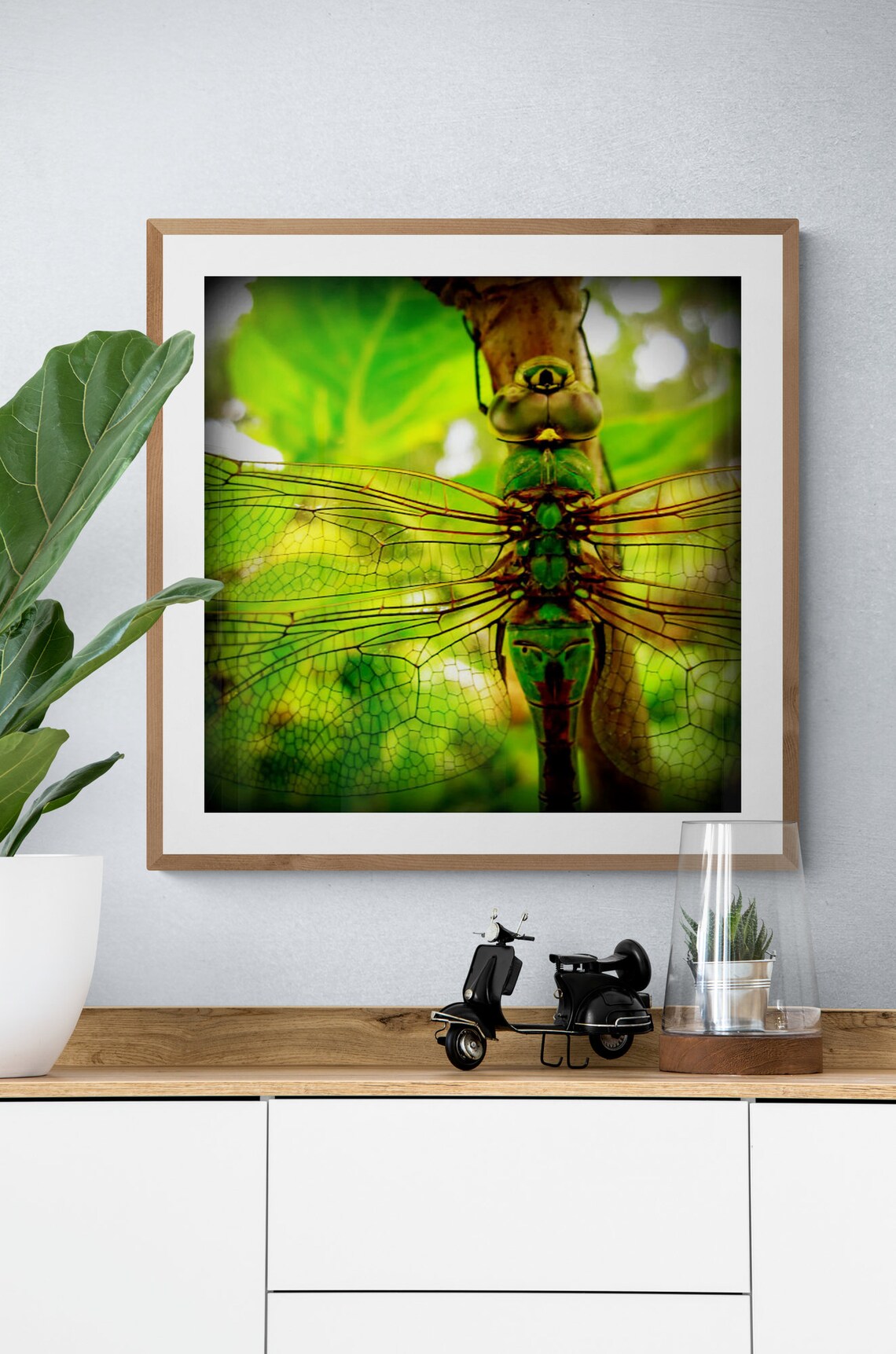 Bug Photo Dragonfly Wall Art Bold Green Art Wildlife - Etsy