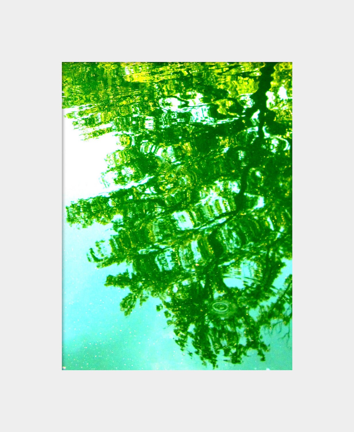Tree Reflection Photo Green Aqua Photo Abstract Wall Art - Etsy