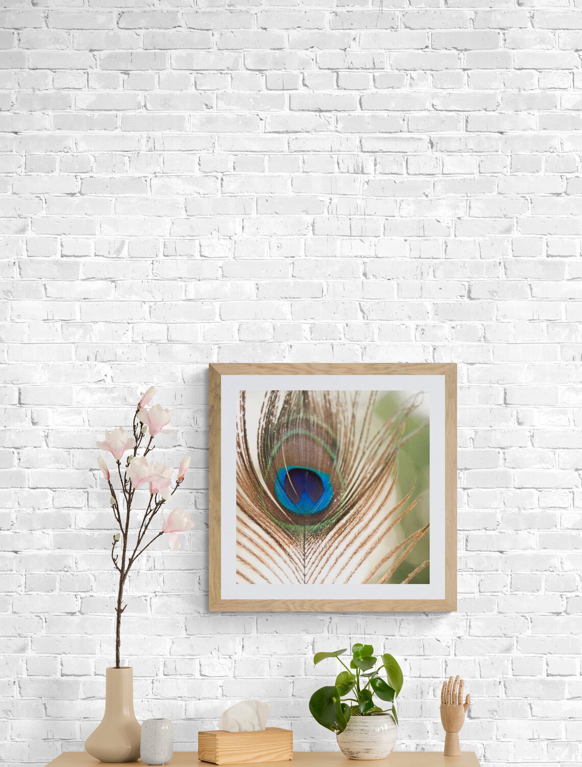Peacock Feather Art Square Feather Print Feather Photo - Etsy