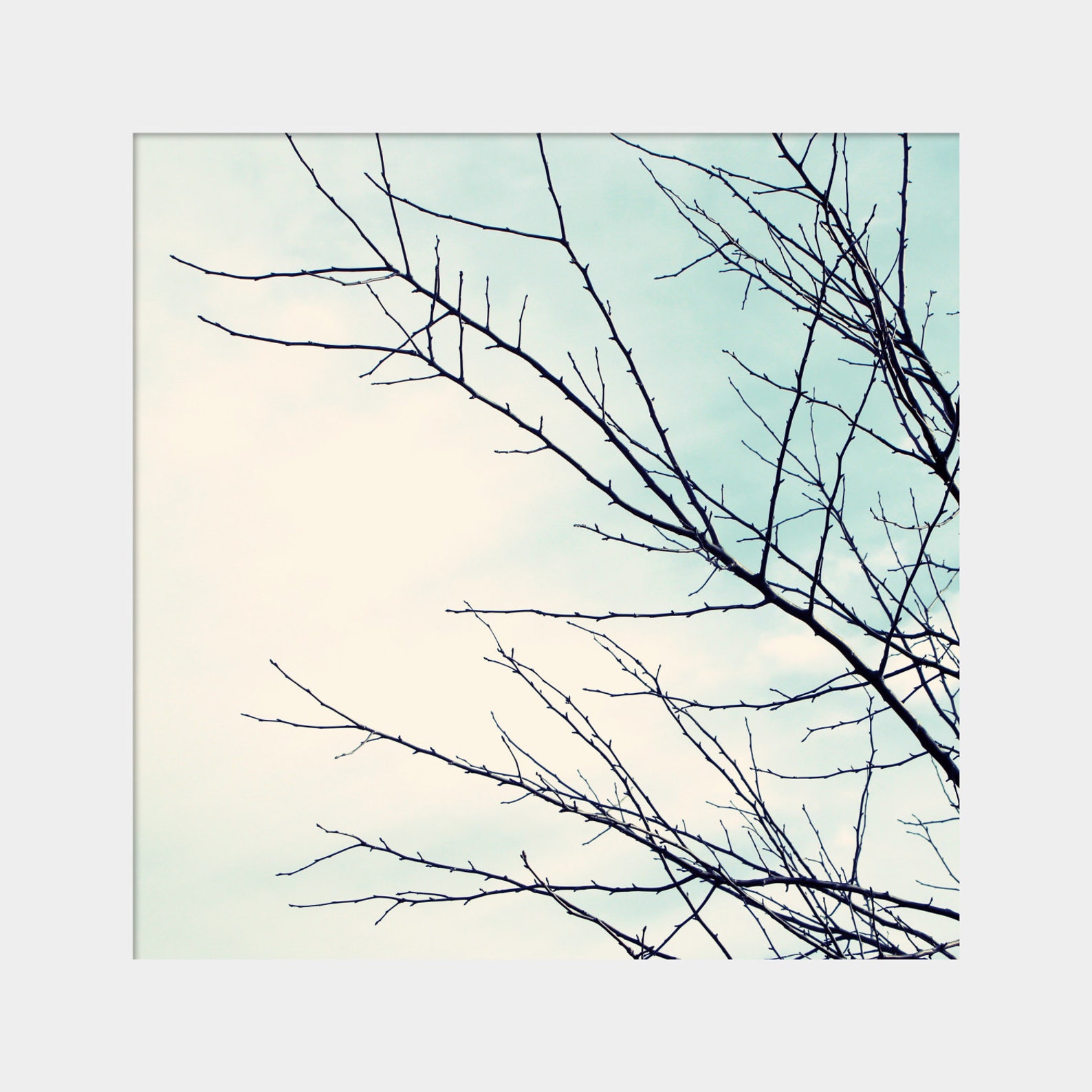 Bare Branches Photo, Pale Blue Nature Art, Pale Blue Decor, Winter ...