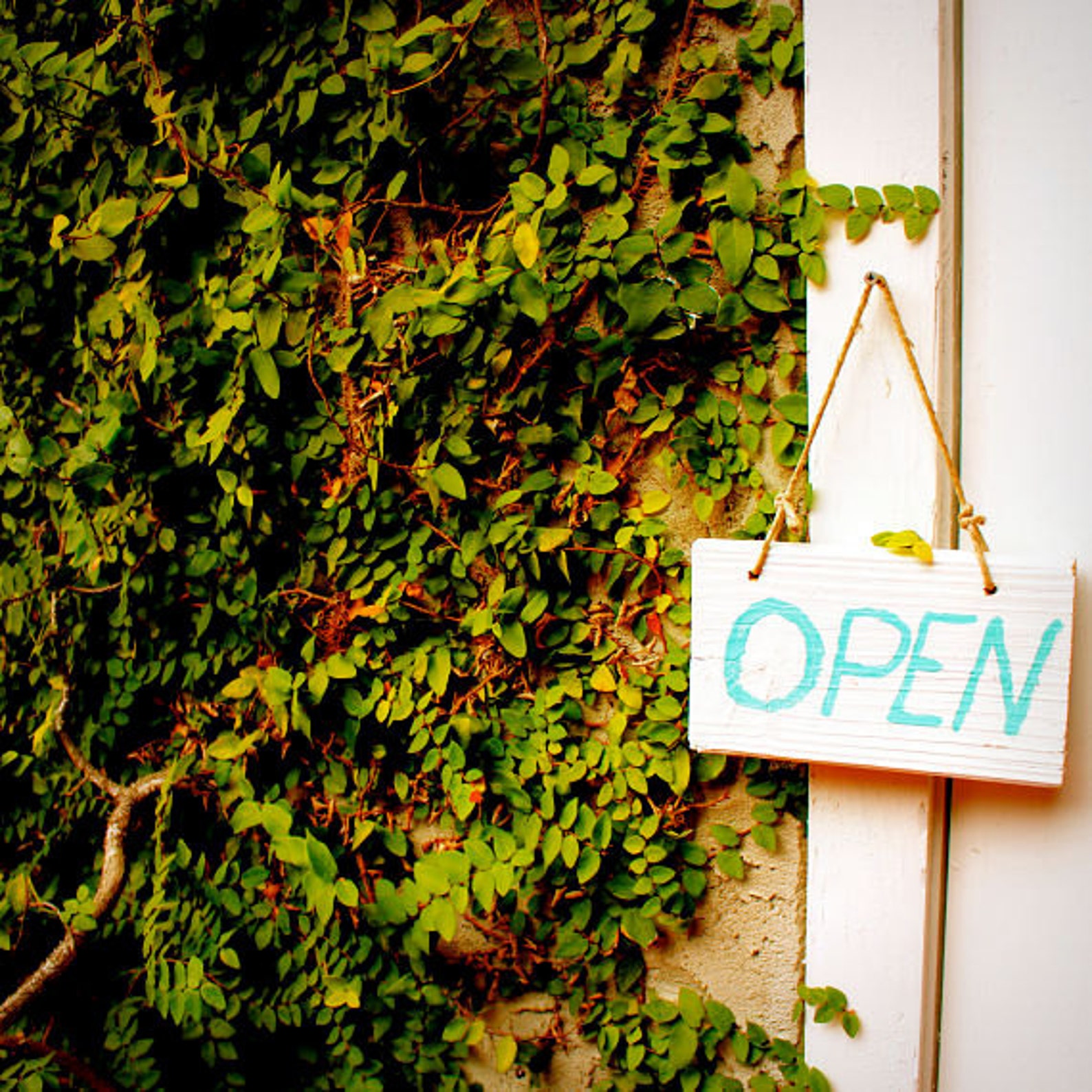 Open Sign Photo, Welcome Sign, Green Ivy Photo, Turquoise Green Art ...