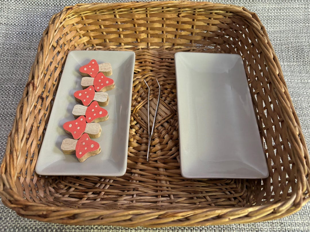 Montessori Method Extension Activity for Practical Life Tweezing With ...