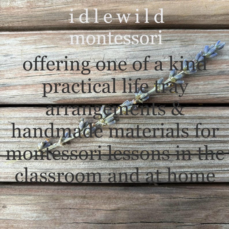 Practical Life Extension Exercise Montessori Method Inspired Spooning ...