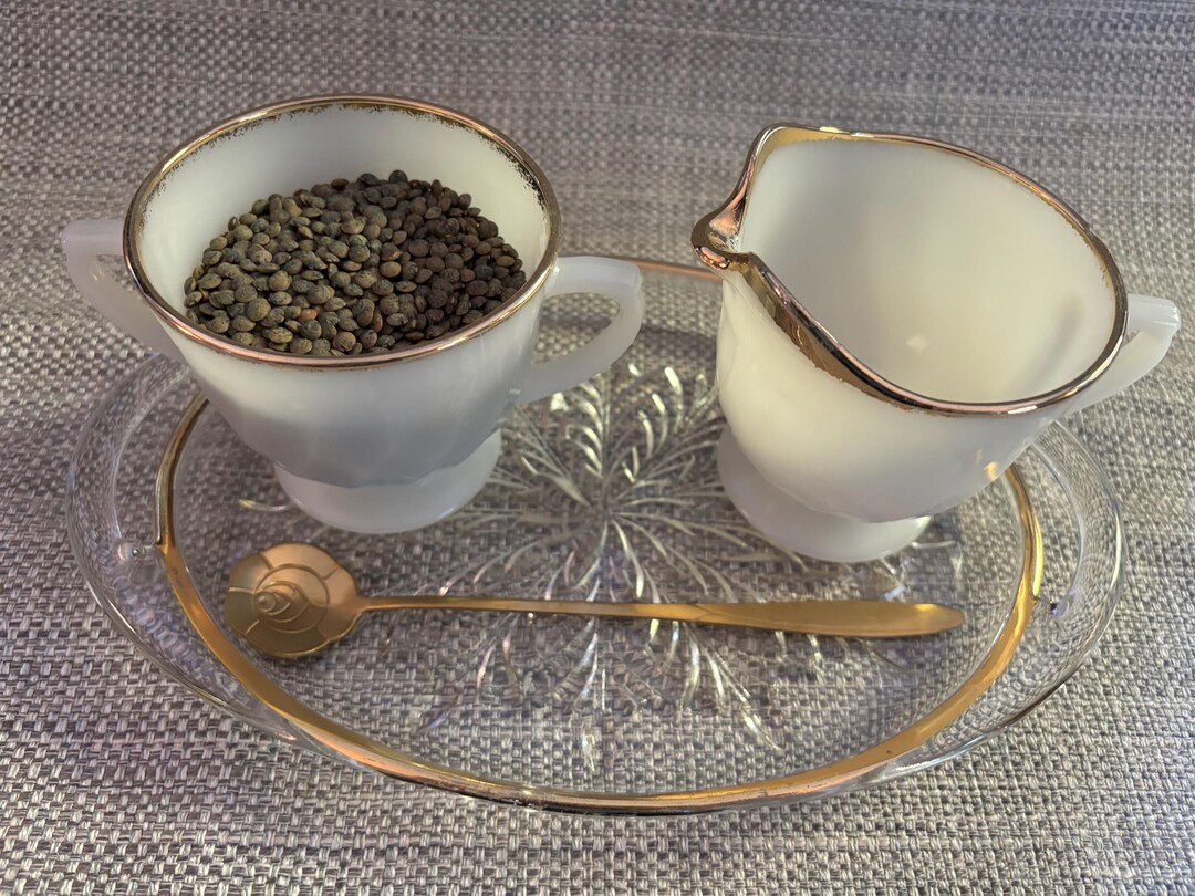 Montessori Method Extension Materials for Spooning and Pouring 1:1 ...