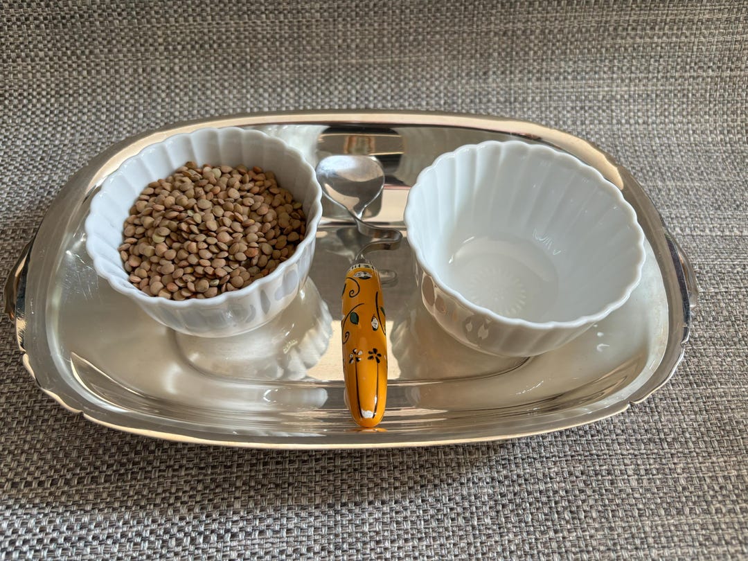 Spooning 1:1 Montessori Transfer Activity With Metal Tray, Metal and ...