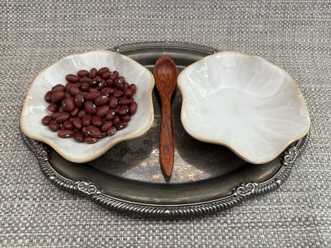 Materials for Montessori Method Practical Life Preliminary Spooning 1:1 ...