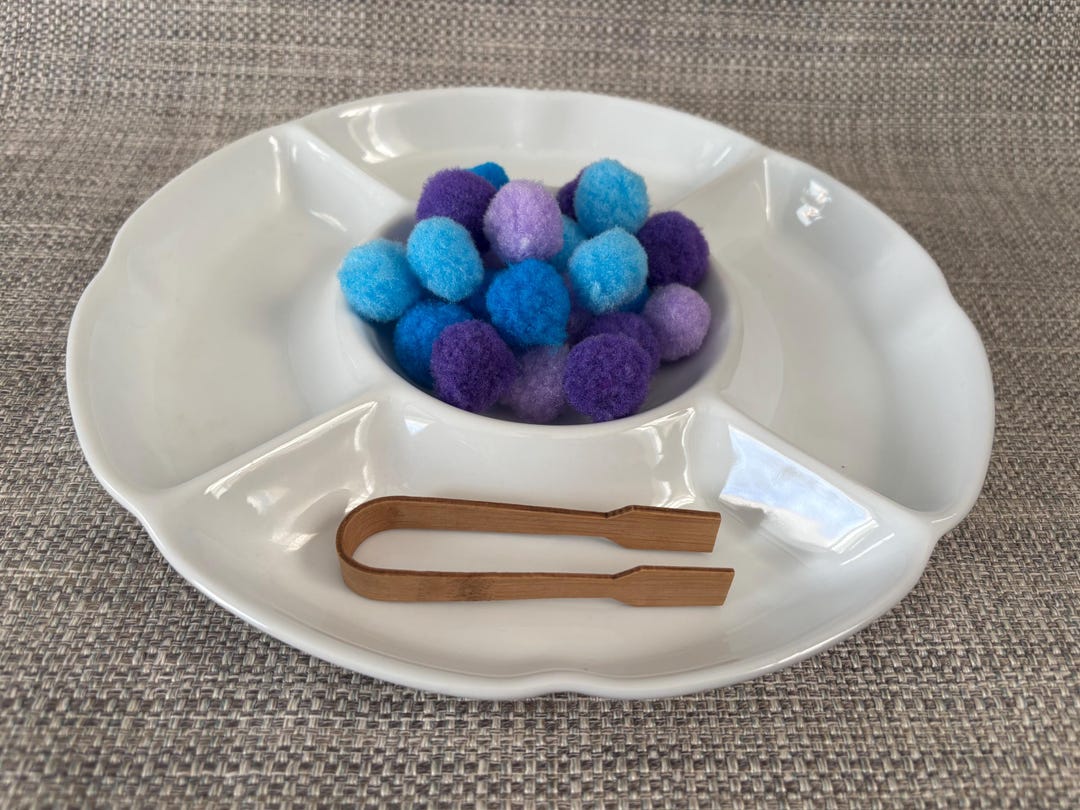 Tonging Extension Activity 1:4 Color Sort for Children's House ...