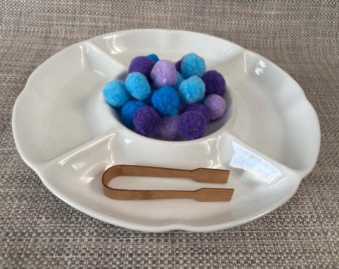 Tonging Extension Activity 1:4 Color Sort for Children's House ...