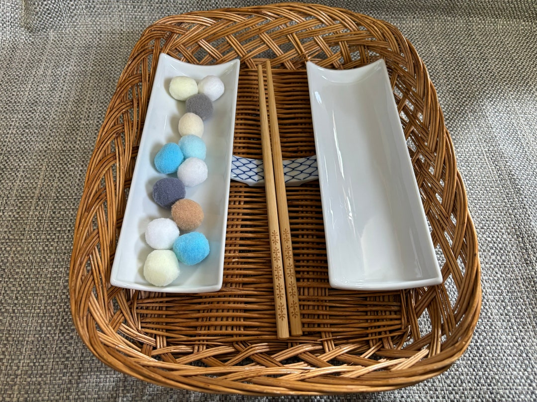 Tonging Extension Chopstick Activity for Montessori Practical Life With ...