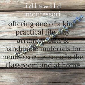 Practical Life Montessori Materials for Spooning and Pouring Extension ...