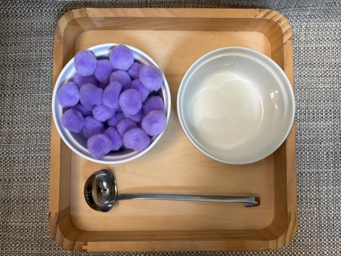 Practical Life Spooning Materials for Montessori Children's House ...