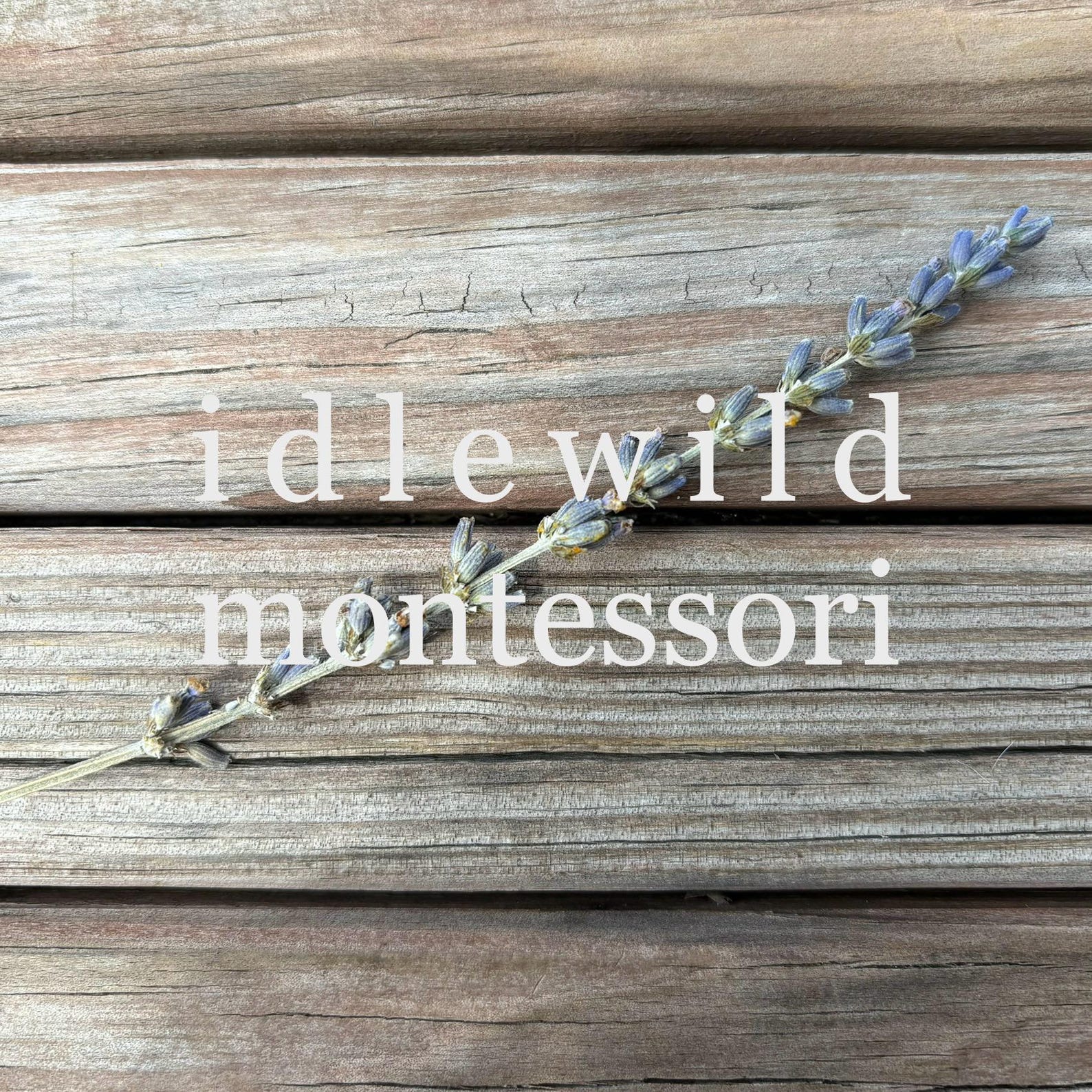 Fine Motor Transfer Activity for Montessori Practical Life Lessons With ...