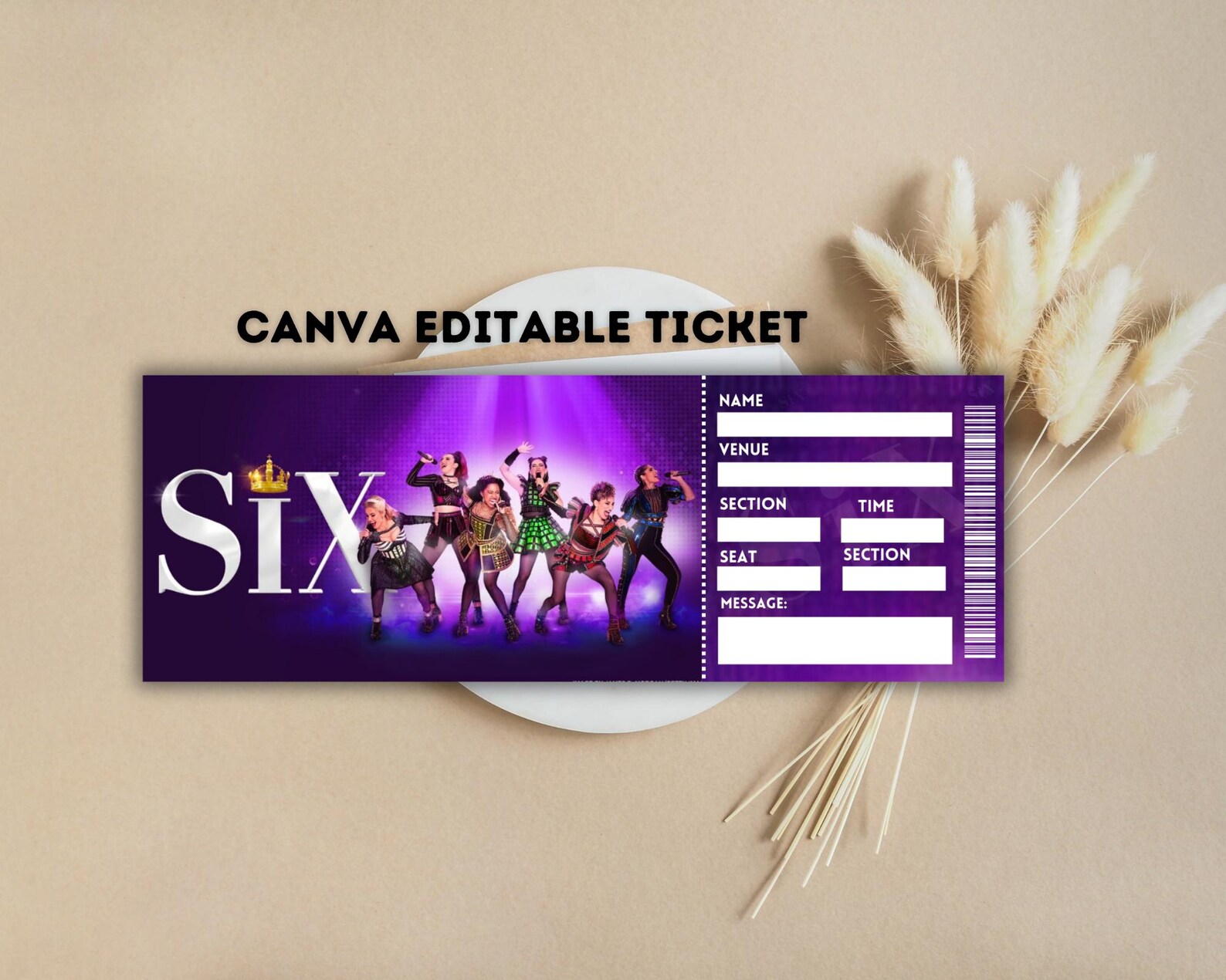 Printable Six Musical Broadway Surprise Ticket Template, Editable Six ...