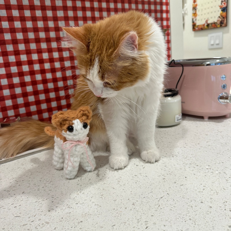 Pet Crochet Figure - Etsy