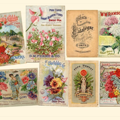 Vintage Printable Seed Packet Instant Download Flower Seed | Etsy