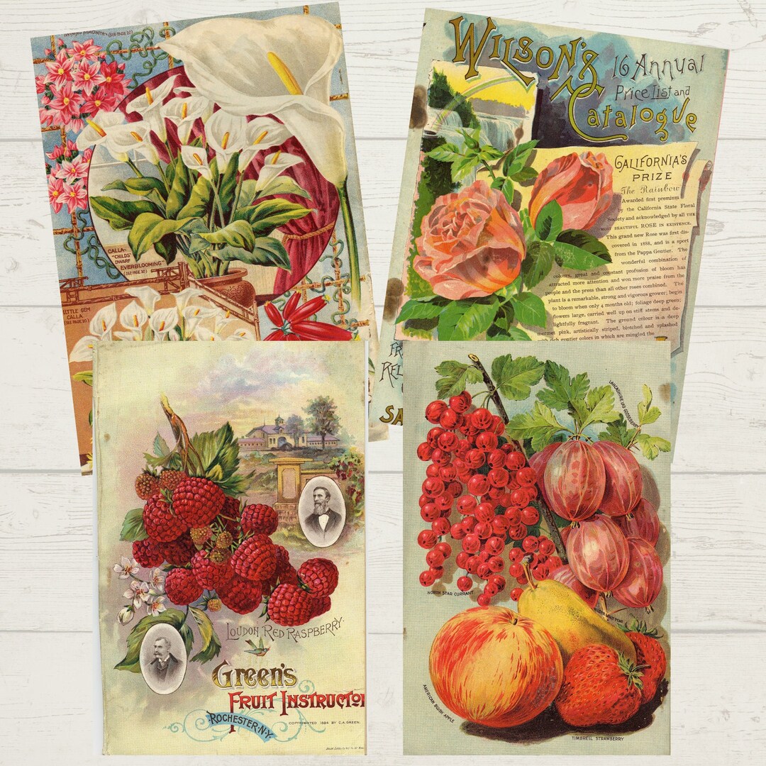 Vintage Printable Flower Seed Packet Collage Sheet Digital Download SKU ...