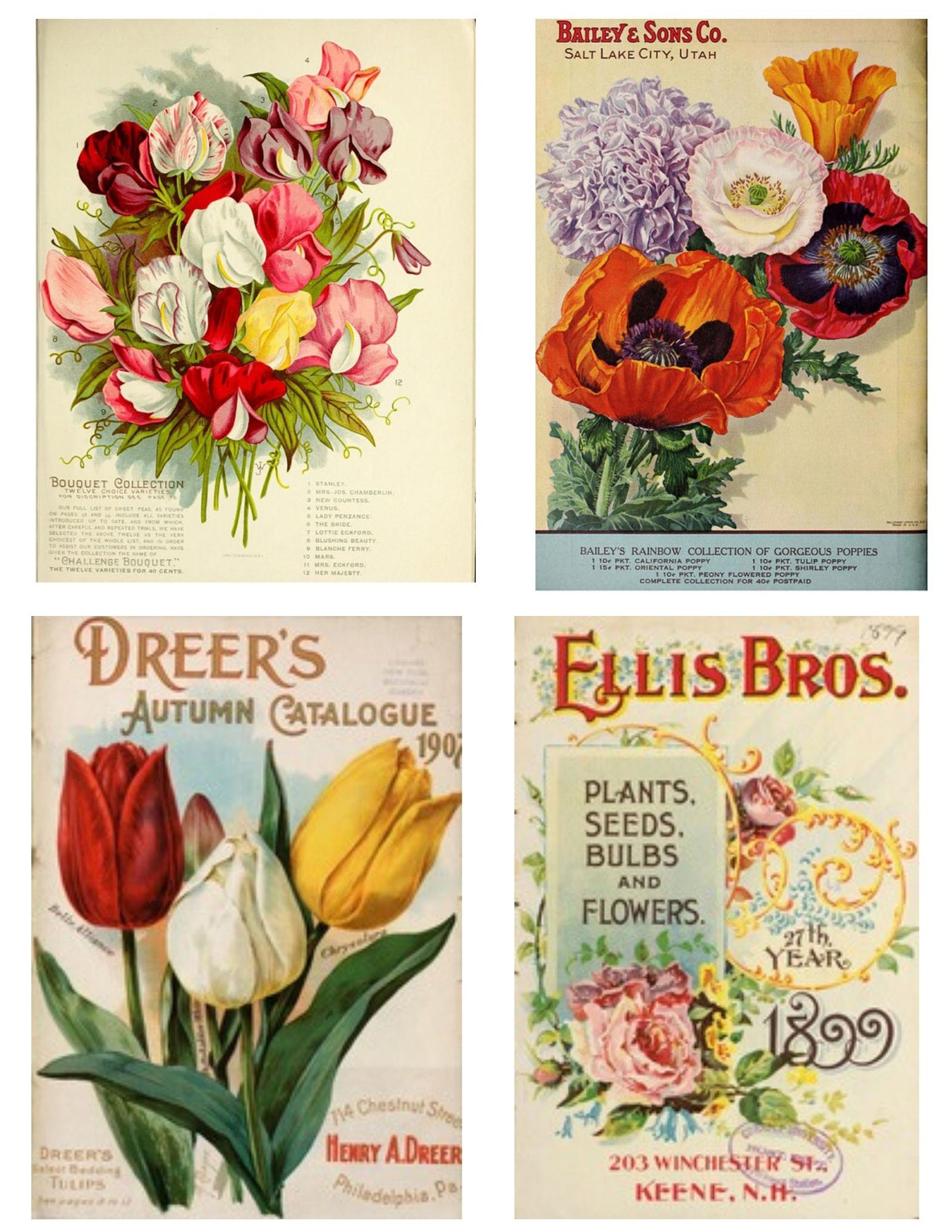 Vintage Seed Packet Digital Download Flower Vegetable Seed Collage ...
