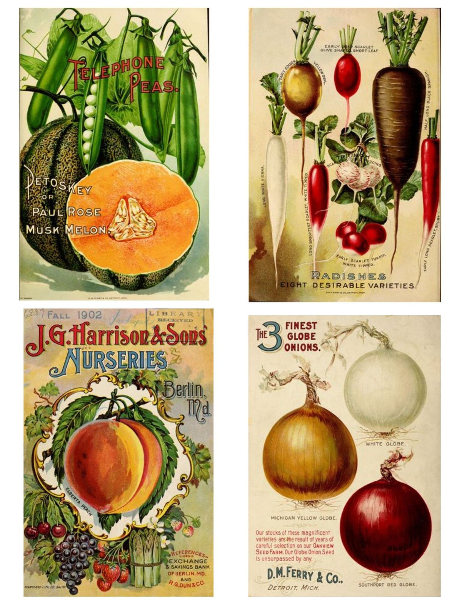 Vintage Seed Packet Digital Download Flower Vegetable Seed Collage ...