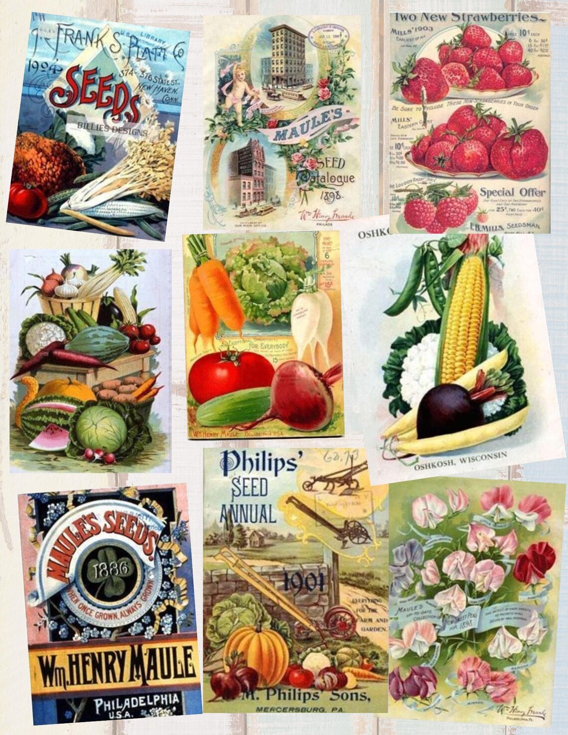 Vintage Seed Packet Digital Download Collage Sheet SKU 001 - Etsy