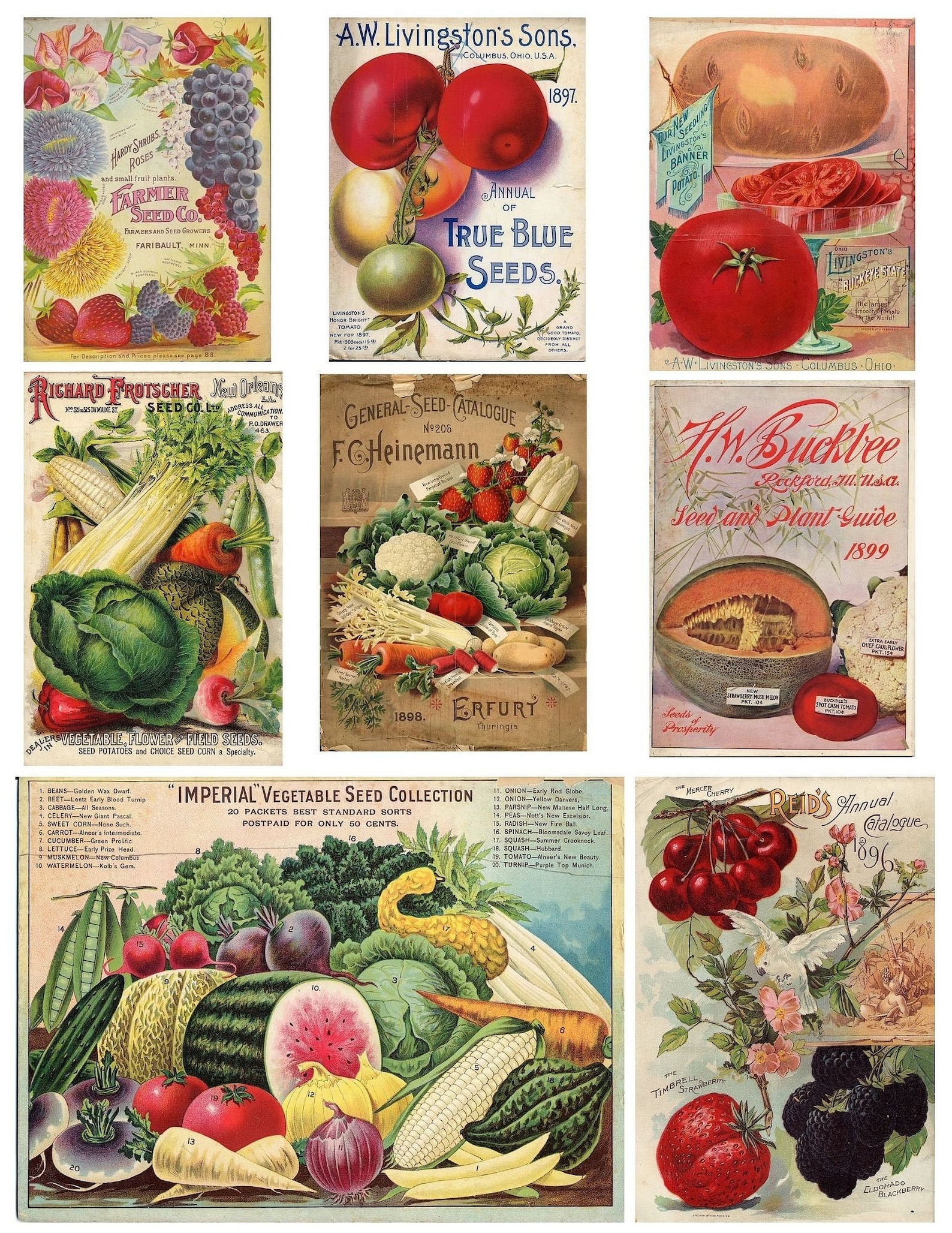 Vintage Vegetable Seed Packet Digital Download Collage Sheet SKU 0036 ...