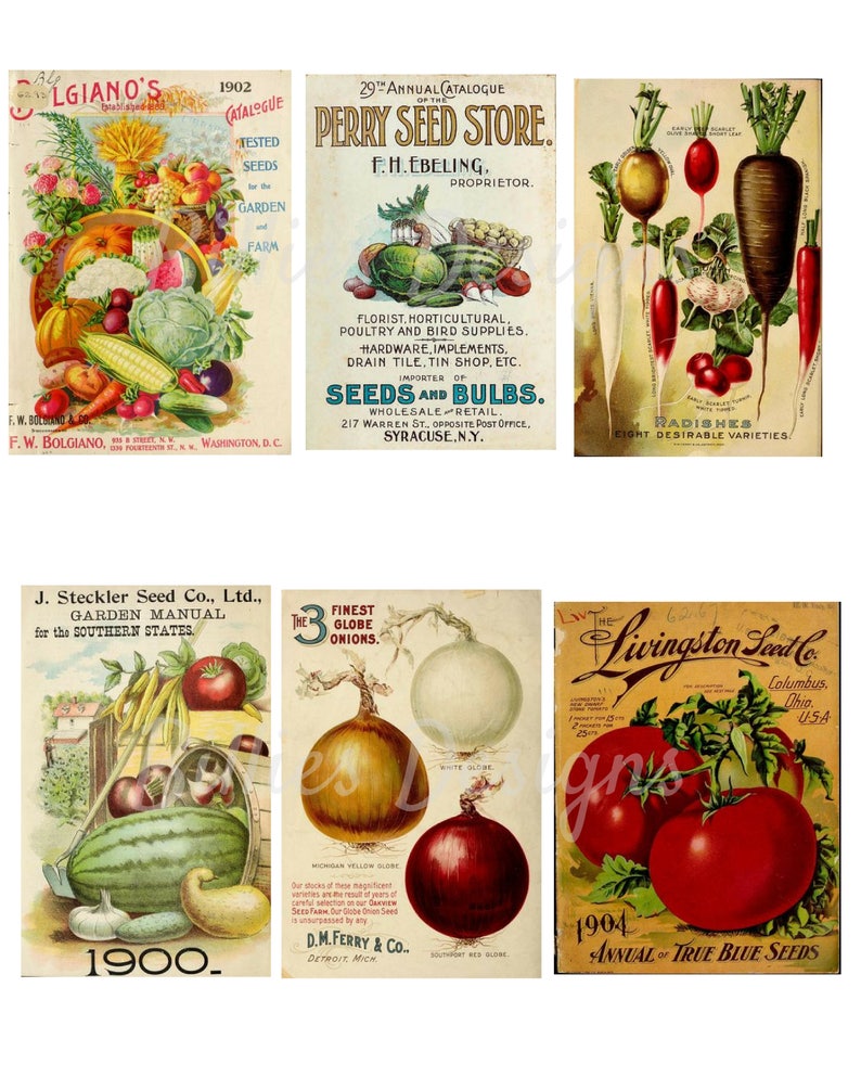 Vintage Printable Seed Packet Digital Download Collage Sheet SKU 0014 ...