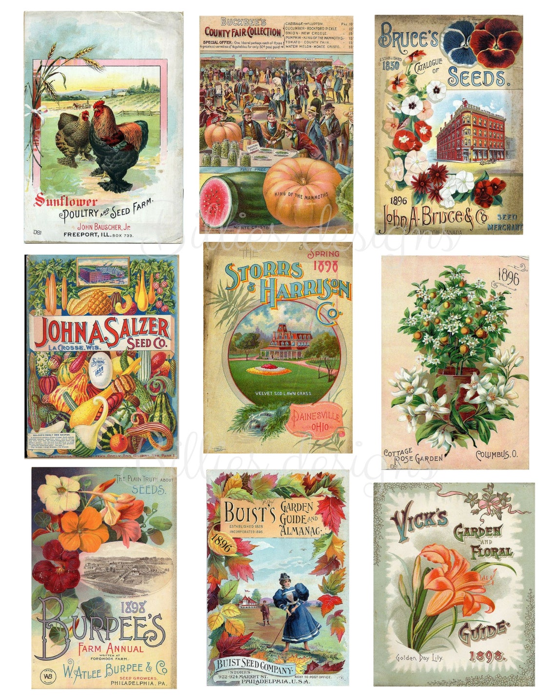 Seed Packet Digital Download Collage Sheet SKU 0032 - Etsy
