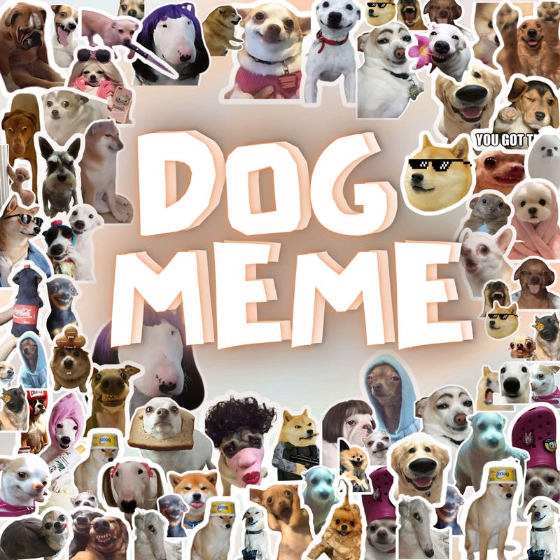 Funny Meme Sticker - Etsy