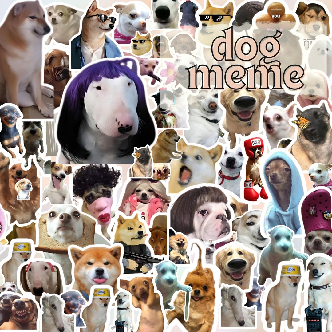 Meme Dog Sticker Bundle Affordable Printable Digital Sticker Funny Dog ...