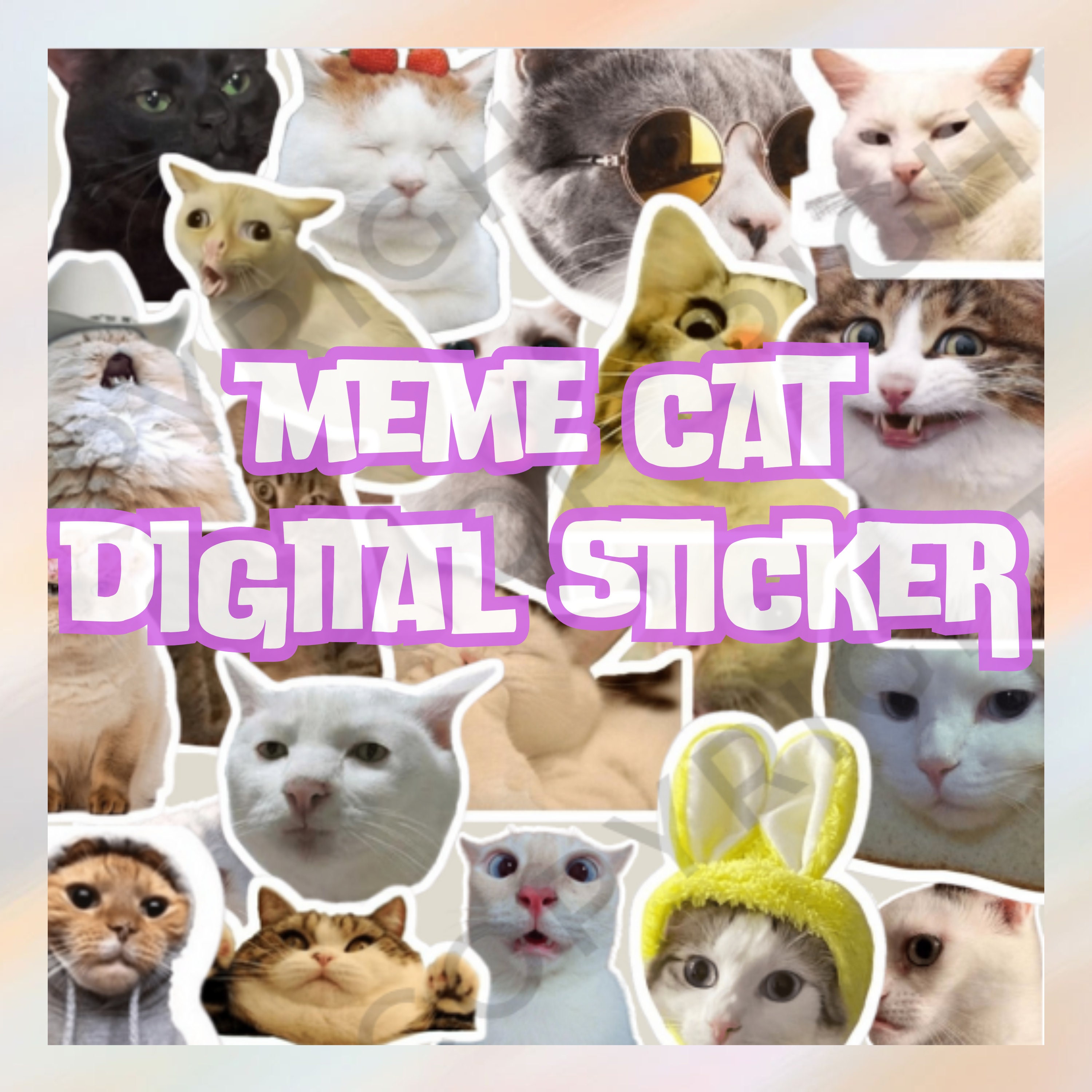 Meme Cat Sticker Bundle Affordable Printable Digital Sticker Funny Cat ...