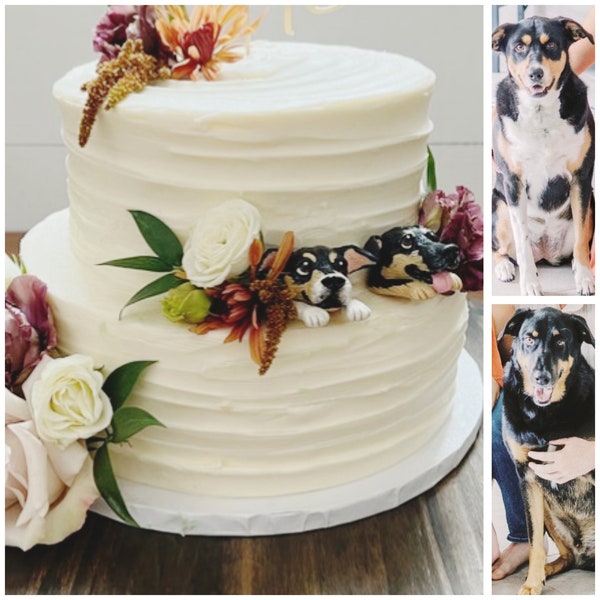 Dog Cakes - Etsy