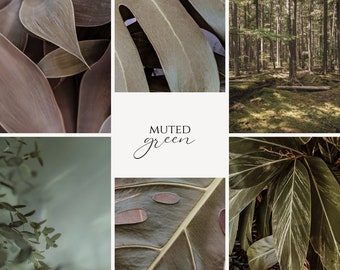 Muted Green Color Palettes With Hex Codes - Etsy