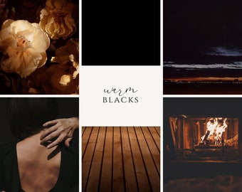 Luxury Branded Color Palette: Warm Black; 5 Color Themes With Hex Codes ...