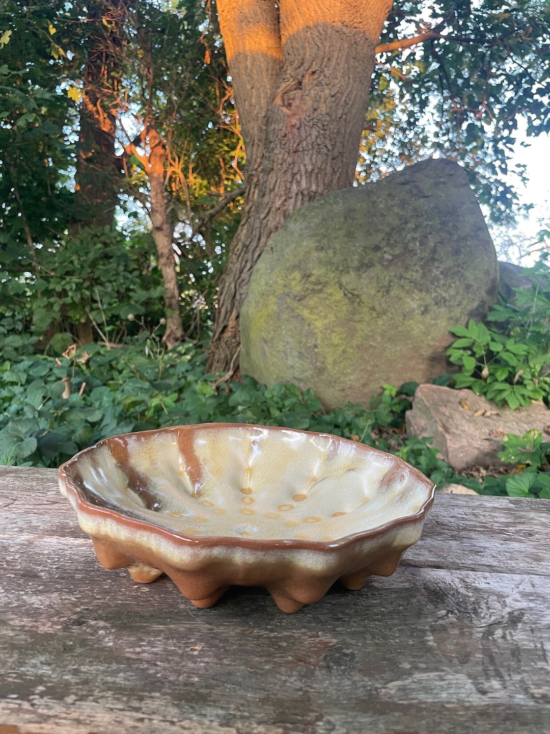 Vintage Frankoma Knobby Cactus Bowl 203 in Brown and Cream - Etsy