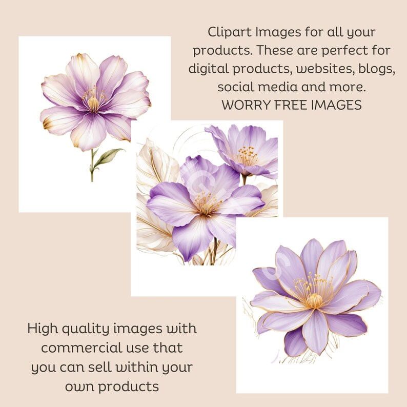 12 Watercolor Flowers Clipart, Purple Gold Flowers, Transparent Pngs ...