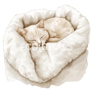 Cozy Winter Clipart, Neutral Winter Clipart Bundle, Winter Holiday ...